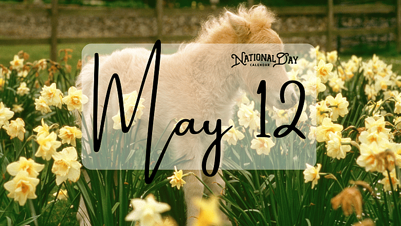 On This Day - May 12, 2026 - National Day Calendar