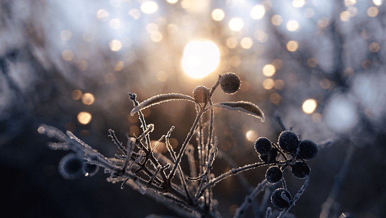 On This Day - December 19, 2026 - National Day Calendar