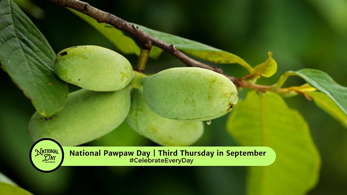 NATIONAL PAWPAW DAY - September 17, 2026 - National Day Calendar