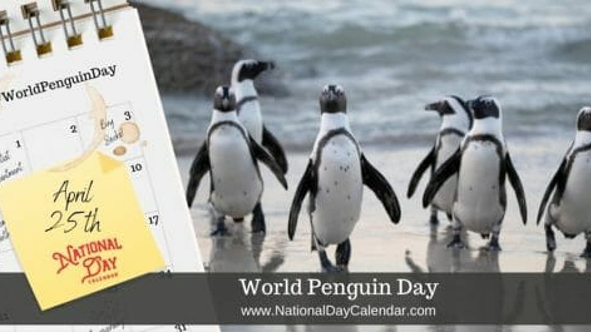 WORLD PENGUIN DAY - April 25, 2026 - National Day Calendar