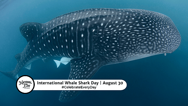 INTERNATIONAL WHALE SHARK DAY - August 30, 2026 - National Day Calendar