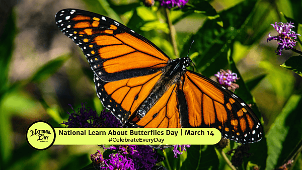 NATIONAL LEARN ABOUT BUTTERFLIES DAY - March 14, 2026 - National Day ...