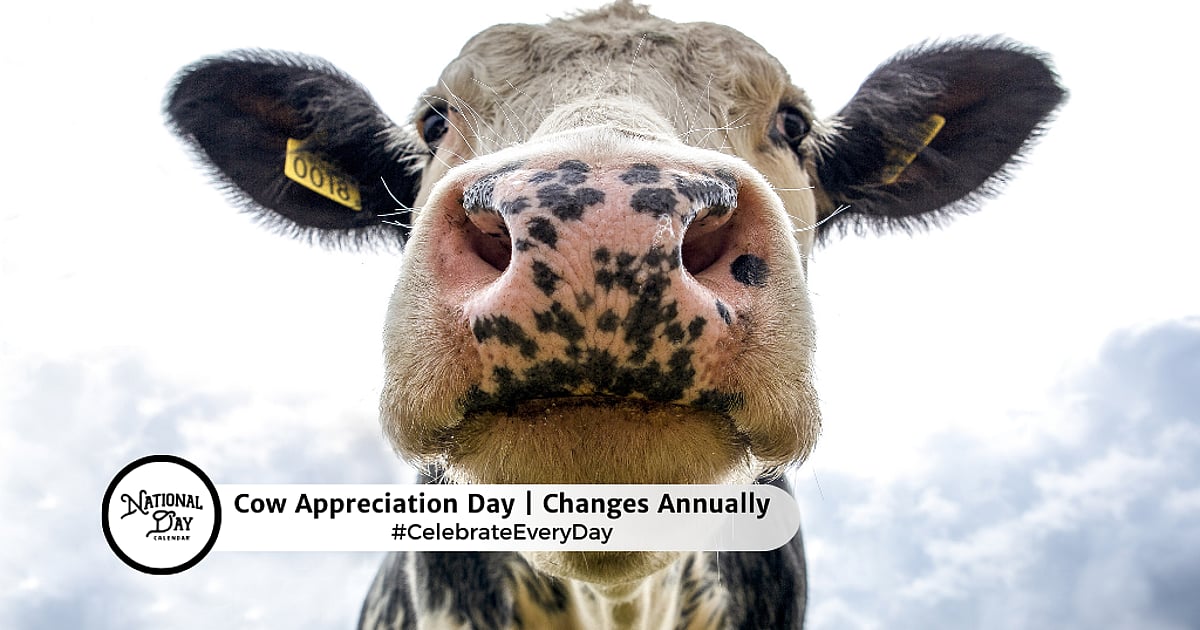 COW APPRECIATION DAY - July 14, 2026 - National Day Calendar