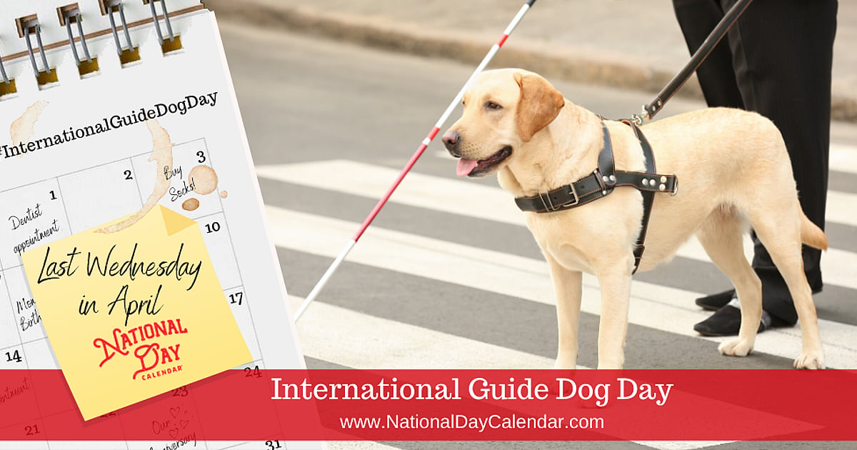 INTERNATIONAL GUIDE DOG DAY - April 29, 2026 - National Day Calendar