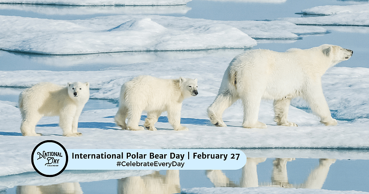 INTERNATIONAL POLAR BEAR DAY - February 27, 2026 - National Day Calendar