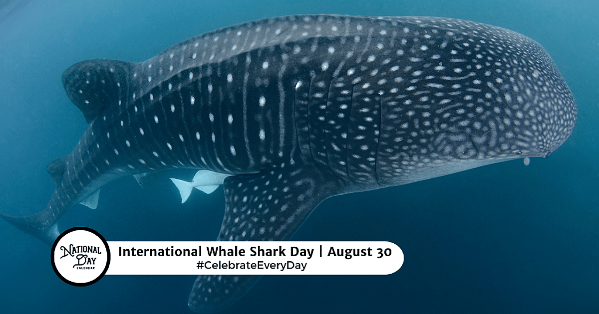 INTERNATIONAL WHALE SHARK DAY - August 30, 2026 - National Day Calendar