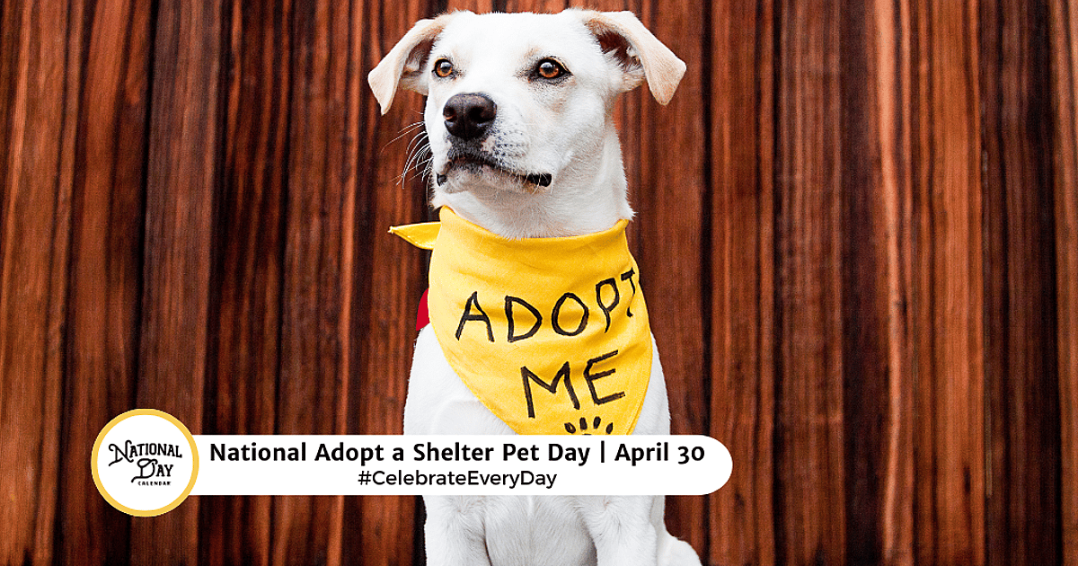 NATIONAL ADOPT A SHELTER PET DAY - April 30, 2026 - National Day Calendar