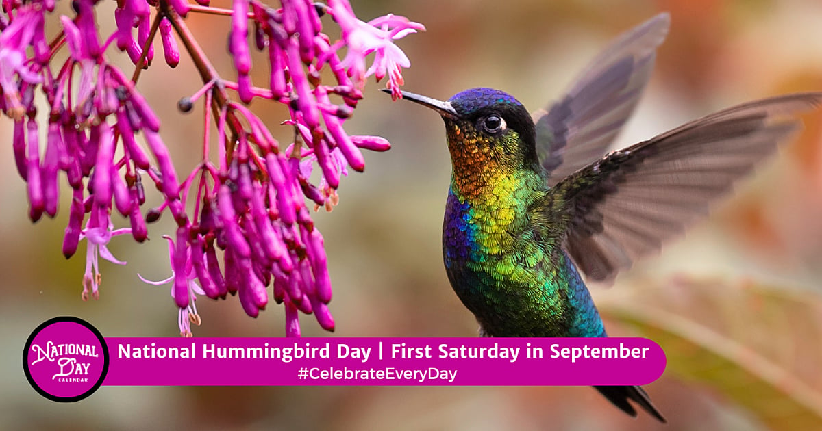 NATIONAL HUMMINGBIRD DAY - September 5, 2026 - National Day Calendar