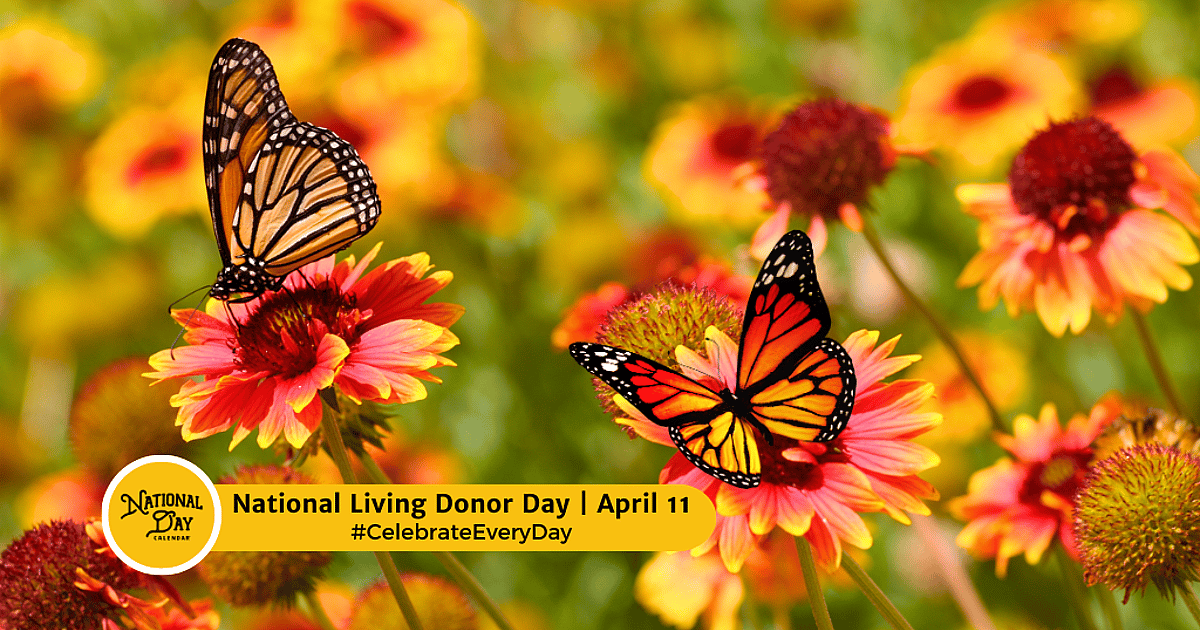 NATIONAL LIVING DONOR DAY - April 11, 2026 - National Day Calendar
