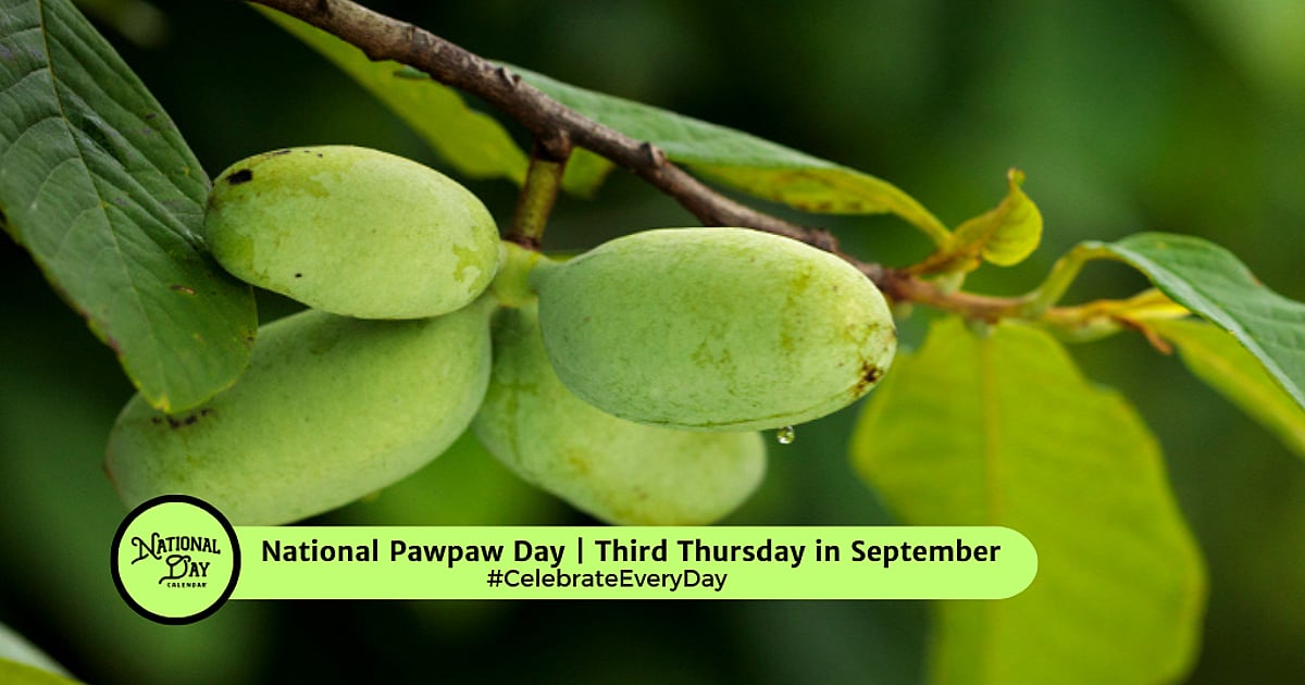 NATIONAL PAWPAW DAY - September 17, 2026 - National Day Calendar