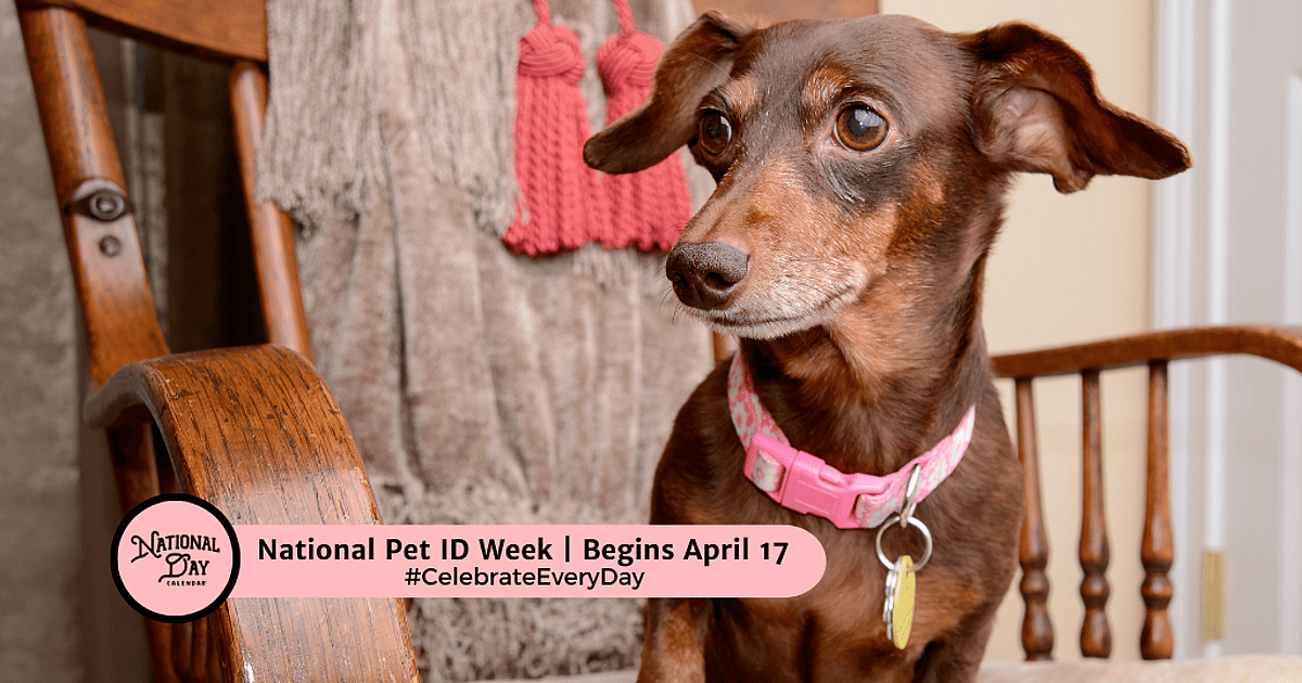 NATIONAL PET ID WEEK - April 17, 2026 - National Day Calendar