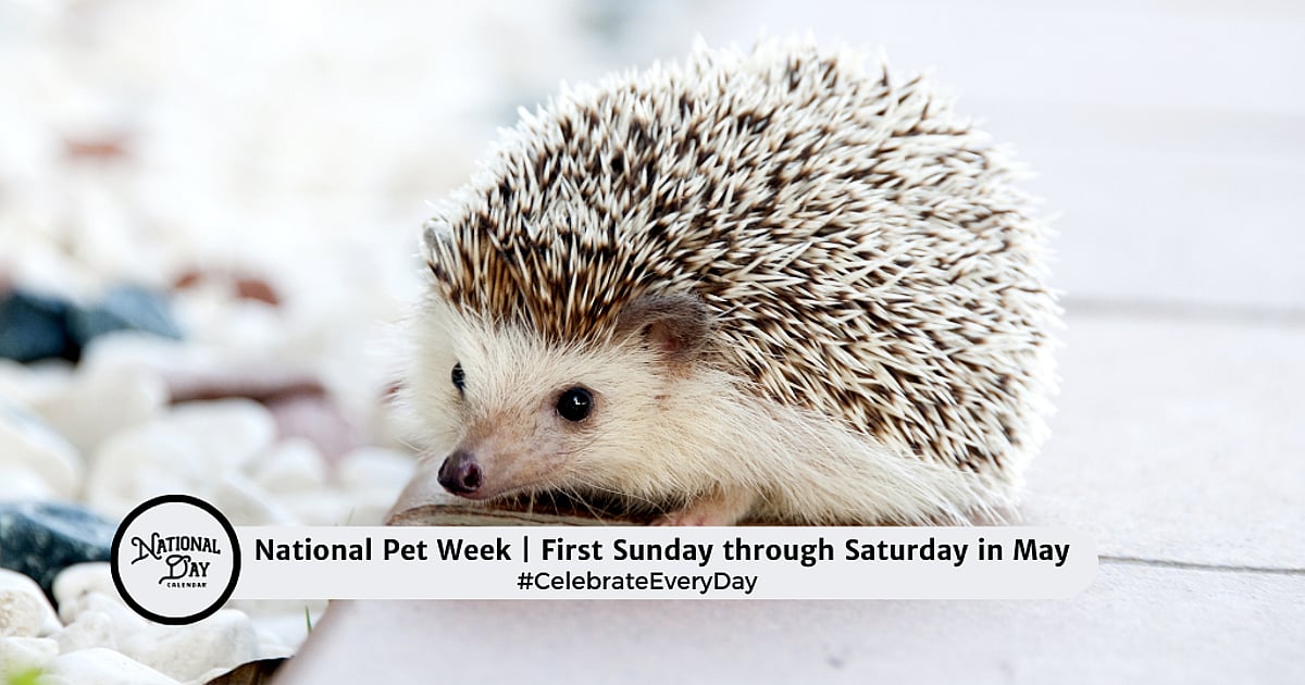 NATIONAL PET WEEK | First Sunday through Saturday in May - - National ...