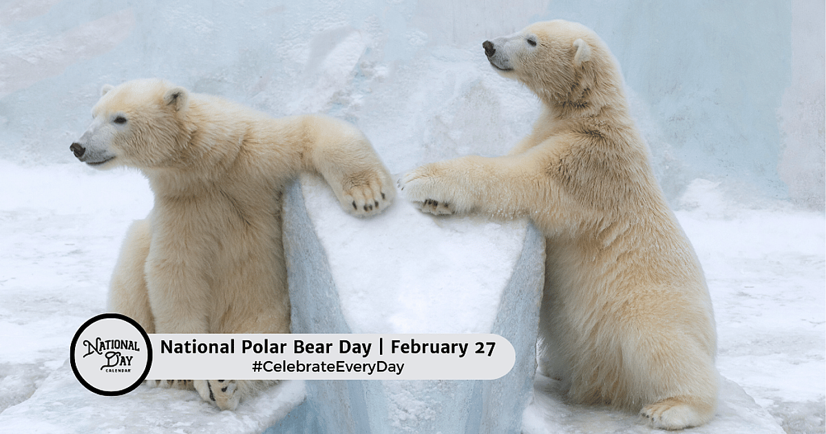 NATIONAL POLAR BEAR DAY - February 27, 2026 - National Day Calendar