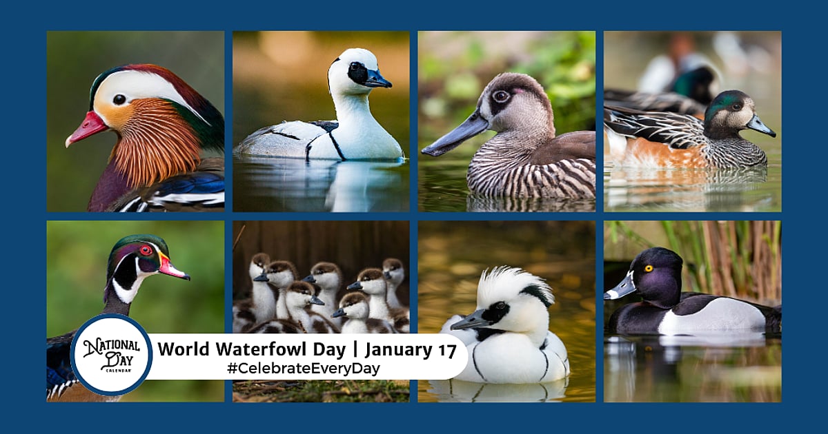 WORLD WATERFOWL DAY - January 17, 2026 - National Day Calendar