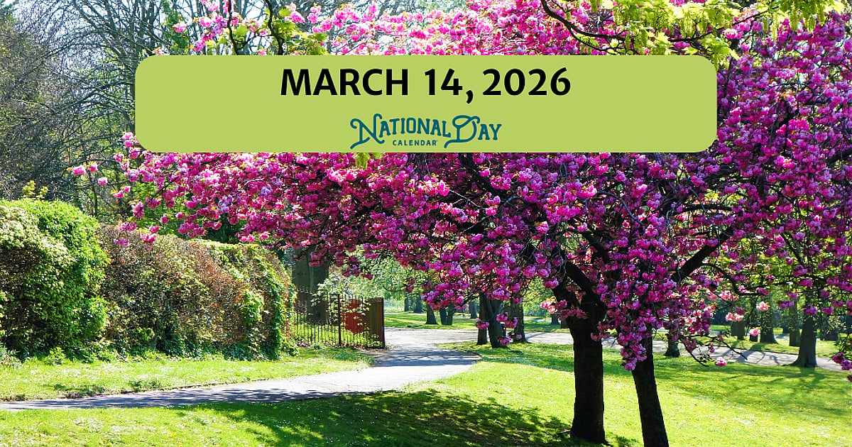 MARCH 14, 2026 | NATIONAL PI DAY | NATIONAL WRITE YOUR STORY DAY ...